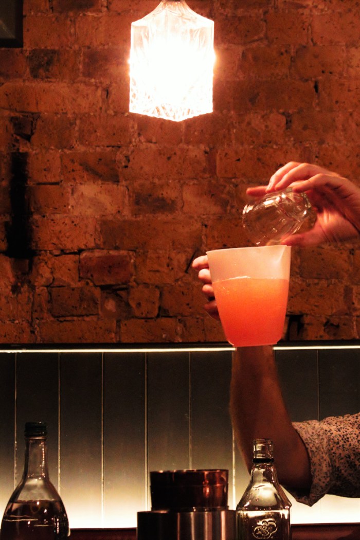 Foraged Tonic Water from Willow Bark and Rowan Berries | Forage Wild Food